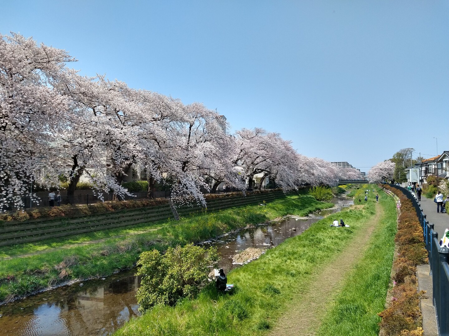 100キロウォーキングに向けて③-2019-04-20 / sumiさんの甲州街道（上高井戸宿～府中宿）の活動日記 | YAMAP / ヤマップ