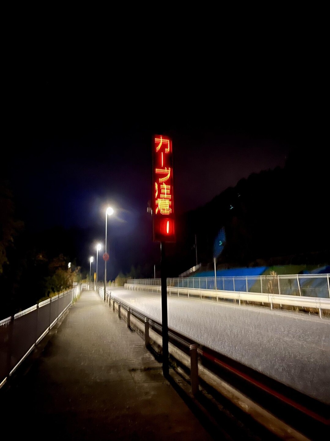 朝トレのご褒美は阿武山 / ミカン de mikanさんの竜王山・阿武山の活動データ | YAMAP / ヤマップ