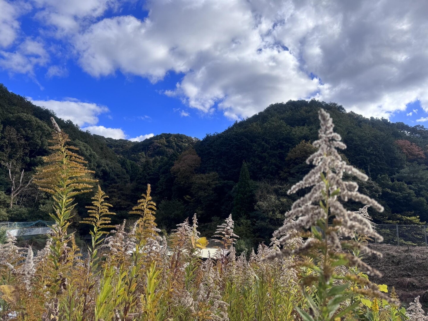 城ノ越山(南峰)・城ノ越山(北峰) / oiyoさんの立花山・三日月山・城ノ越山の活動データ | YAMAP / ヤマップ