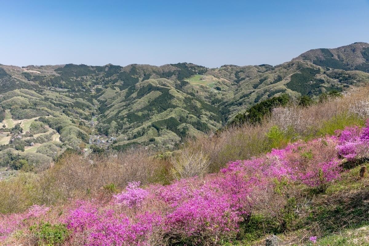 簑山・祝山・和銅山 / y-hey@写真も撮れる登山ガイドさんの簑山の活動データ | YAMAP / ヤマップ