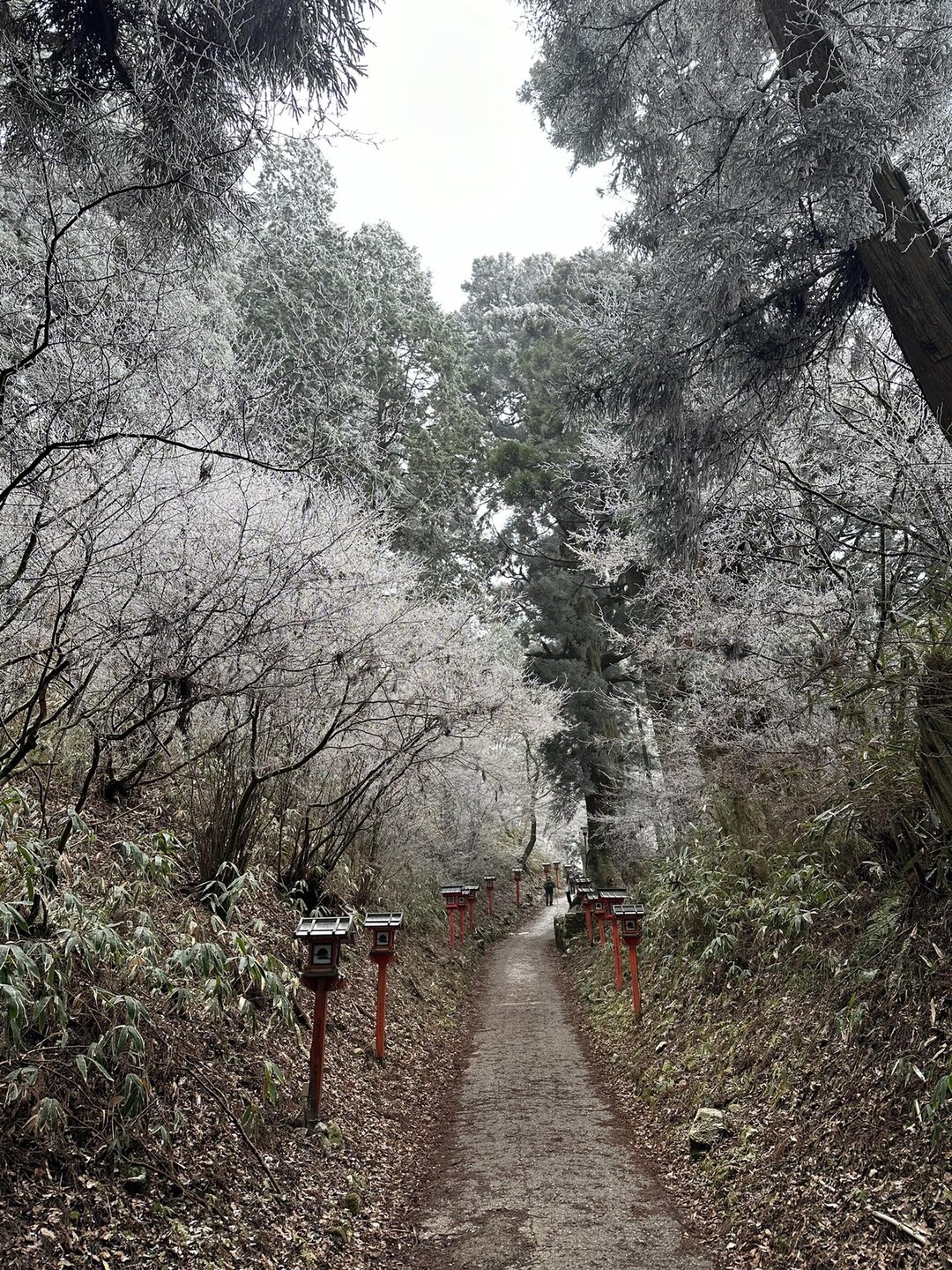 ダイヤモンドトレール / iwa chanさんの金剛山・二上山・大和葛城山の活動データ | YAMAP / ヤマップ
