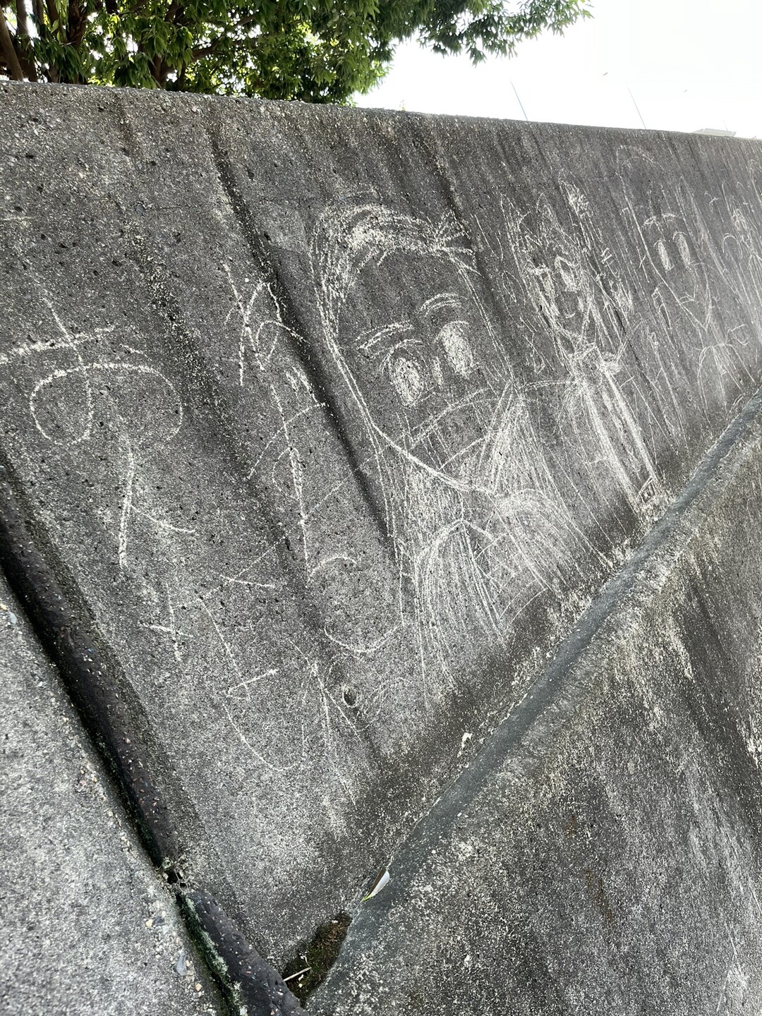 近所。よい壁。 / junnnnさんのモーメント | YAMAP / ヤマップ