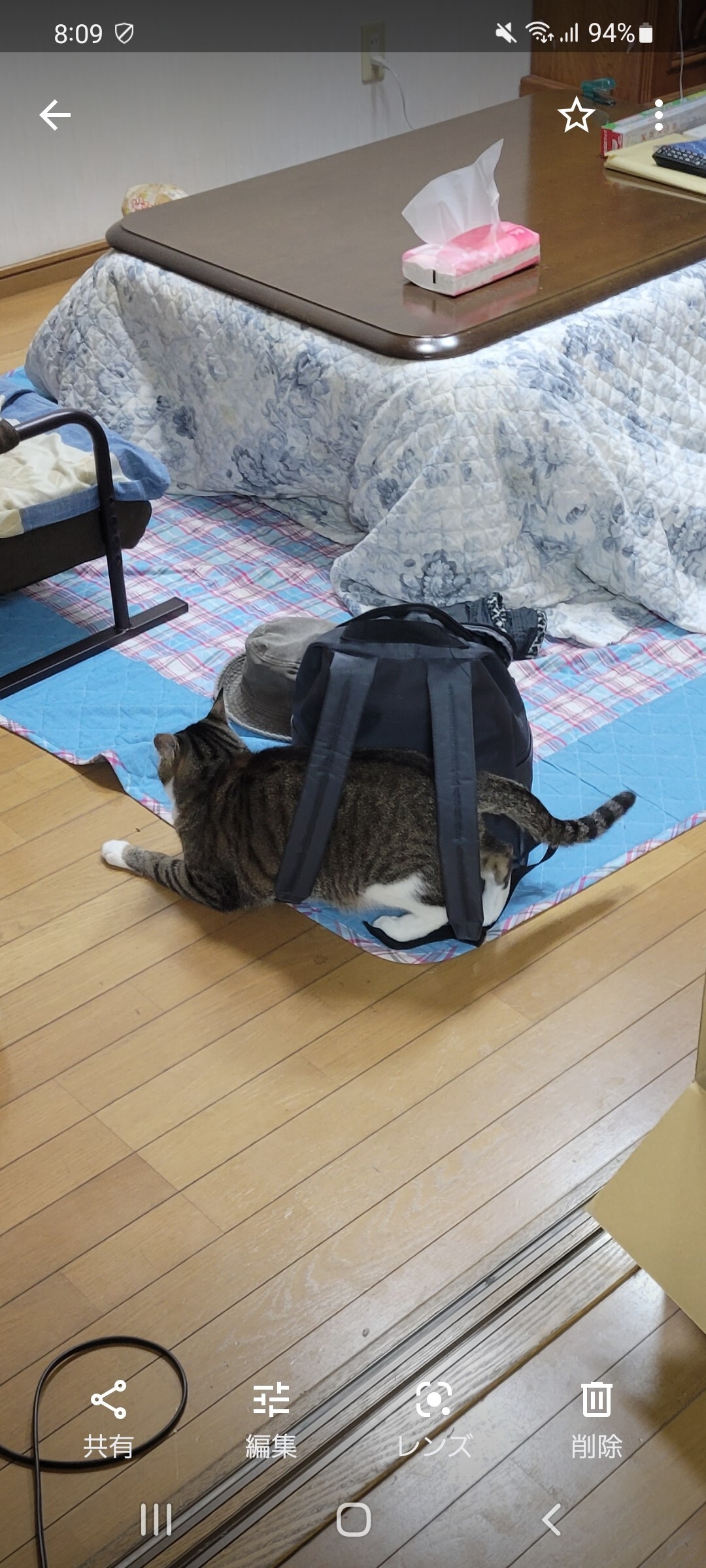 RIMOのページ | YAMAP / ヤマップ