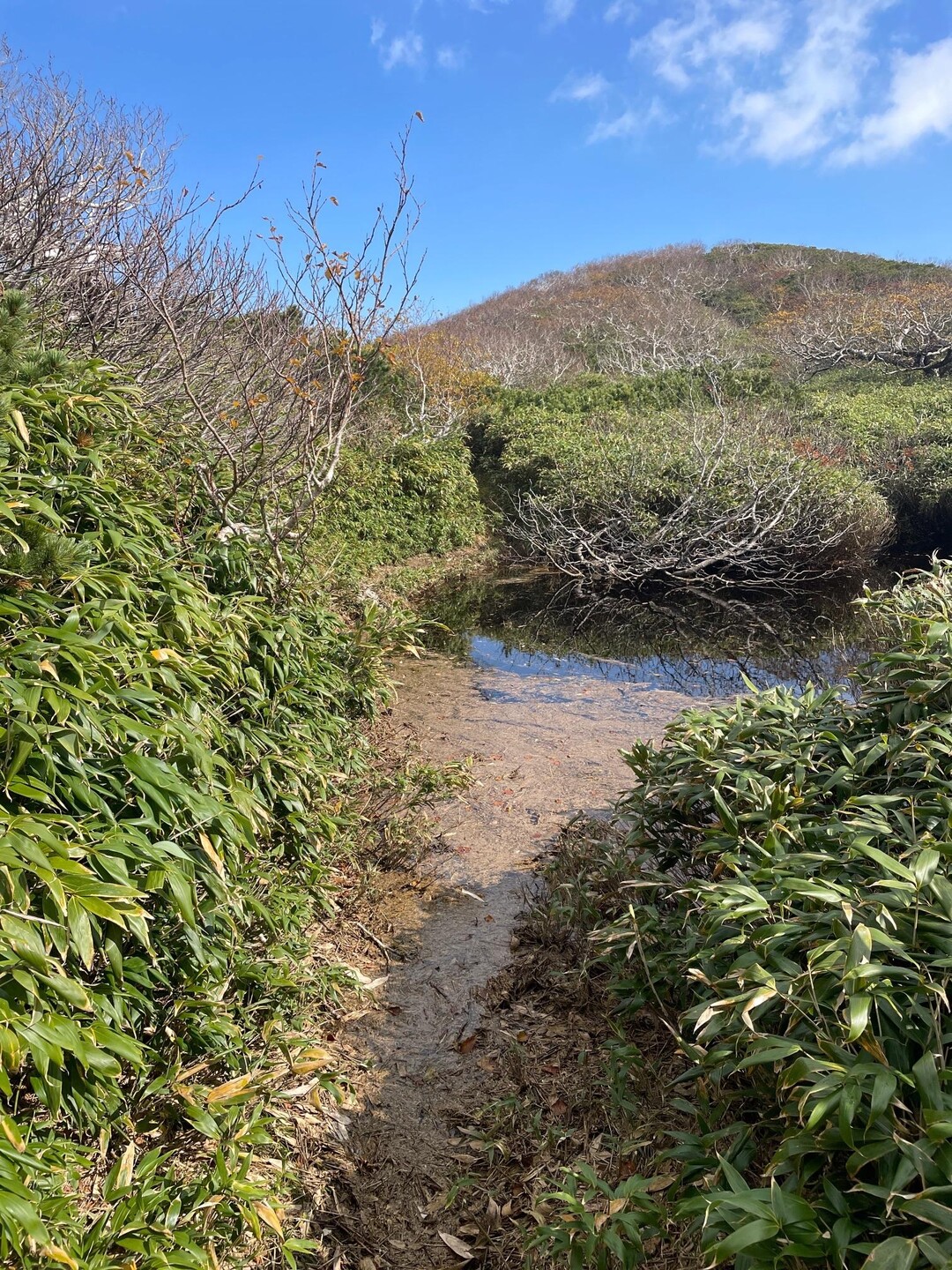 Hiker K2さんの投稿したフィールドメモ | YAMAP / ヤマップ