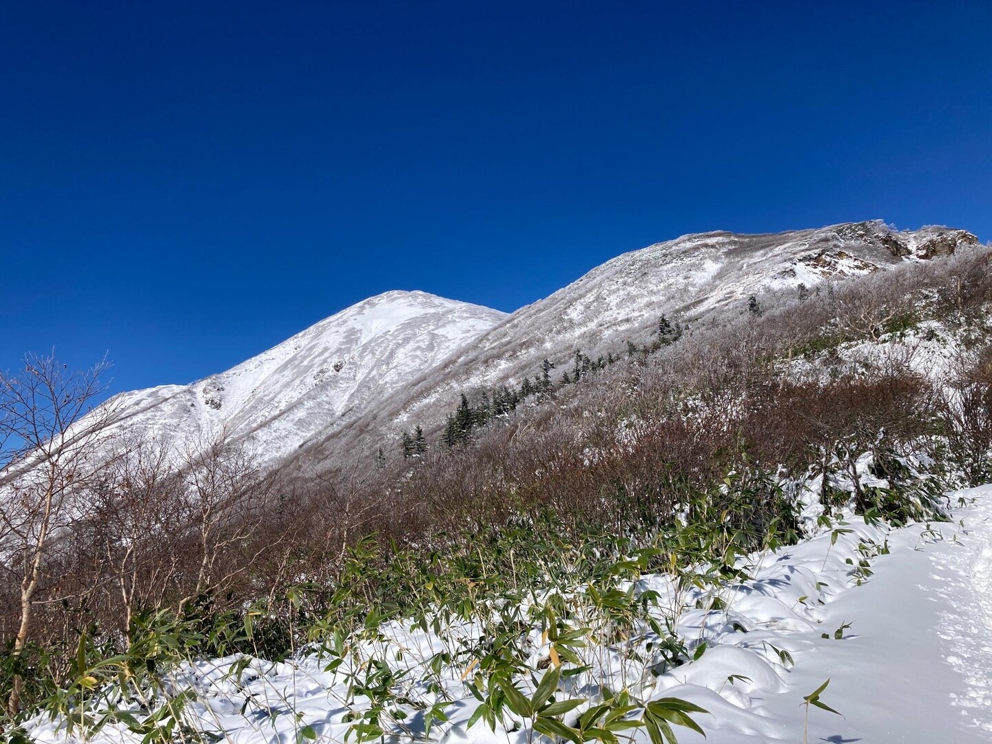 火打山・茶臼山 / 103さんの妙高山・火打山の活動データ | YAMAP / ヤマップ