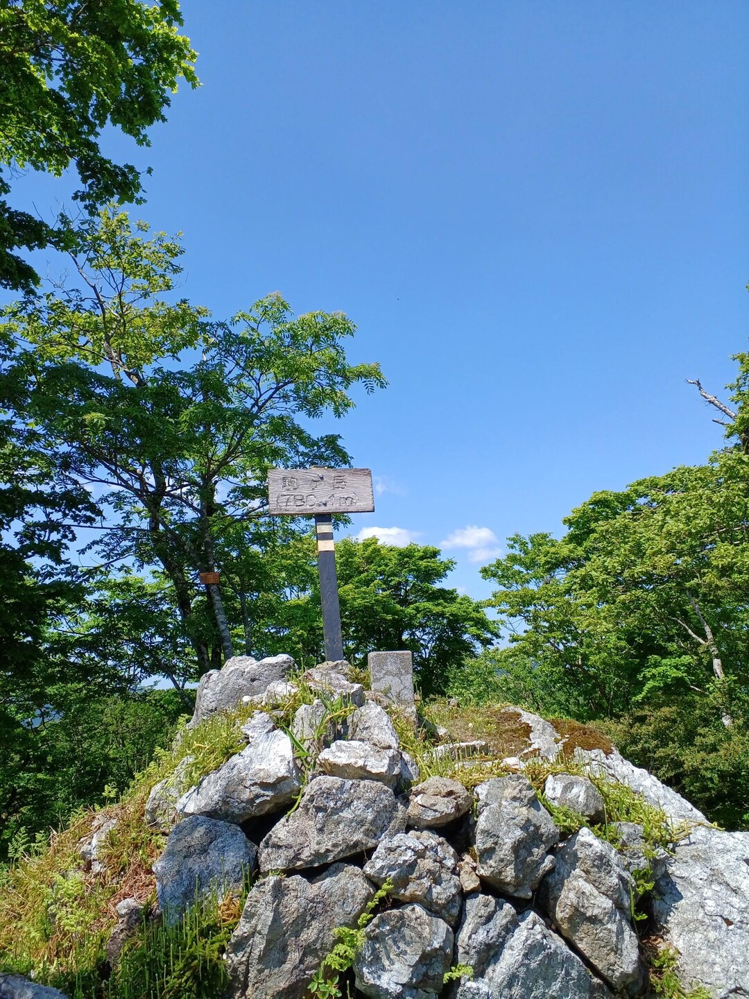 若狭駒ヶ岳 / 香meさんの千石山の活動データ | YAMAP / ヤマップ
