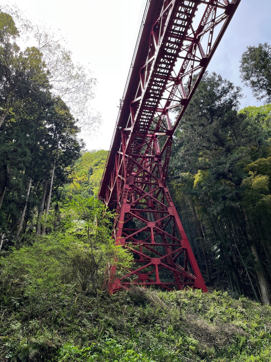 SKT下見(7名) 高野山森林鉄道跡[九度山〜上古沢] / SKTシルビアさんの高野参詣道（高野山・楊柳山・雨引山）の活動データ | YAMAP / ヤマップ