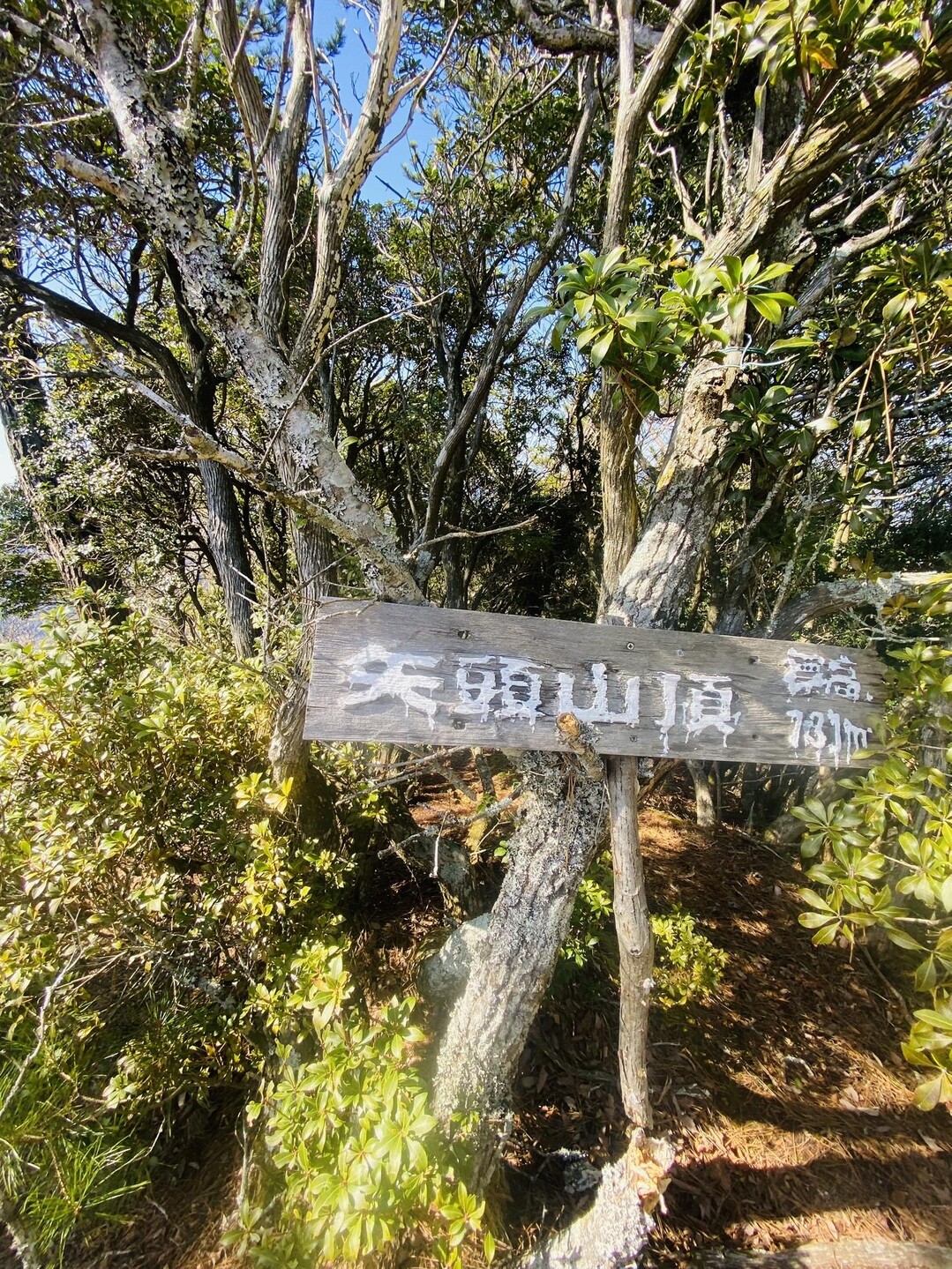 矢頭山 / norisanさんの矢頭山の活動データ | YAMAP / ヤマップ