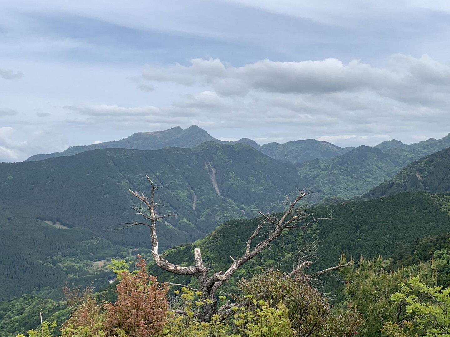 なぜか釈迦ヶ岳・大日ヶ岳 / koma_xさんの釈迦ヶ岳・大日ヶ岳・岳滅鬼山の活動データ | YAMAP / ヤマップ
