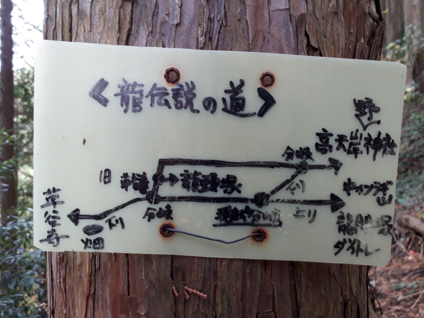 龍伝説の道 / バランスライト(TET)さんの葛城修験エリアマップ（金剛山周辺）の活動データ | YAMAP / ヤマップ