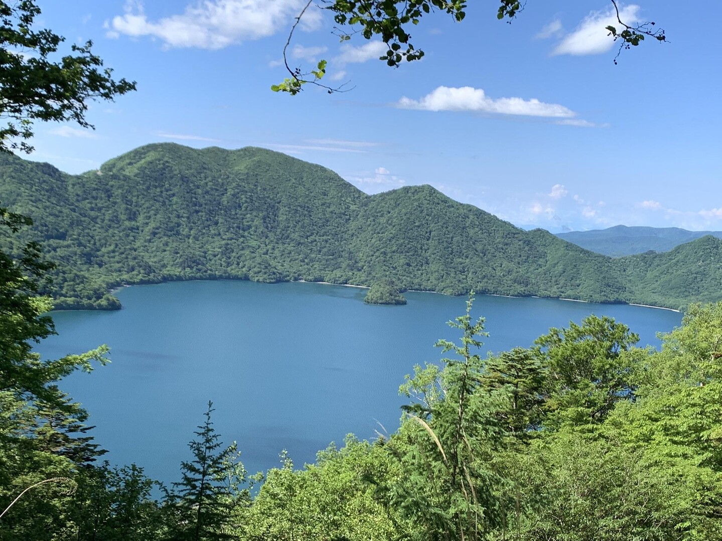 男体山-2023-06-16 / Naomiさんの男体山の活動データ | YAMAP / ヤマップ