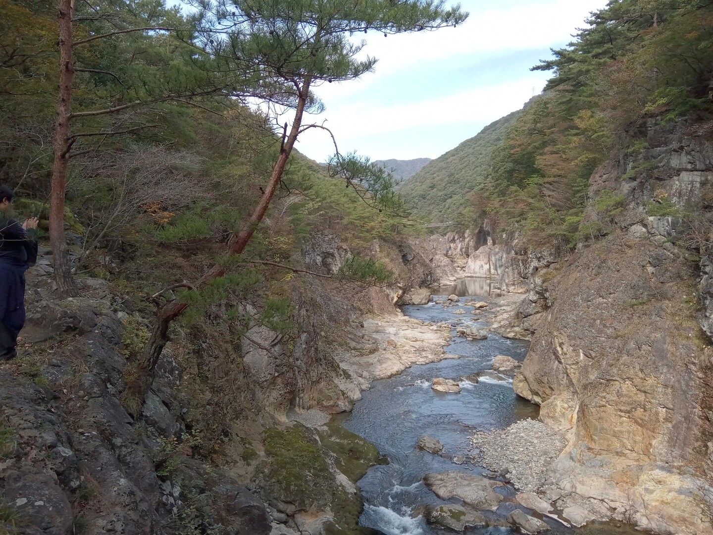 龍王峡の端から端迄 / arakawa🌊さんの塔ノ岳・丹沢山・蛭ヶ岳の活動データ | YAMAP / ヤマップ