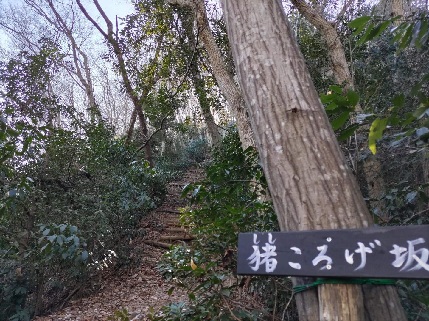 23,1,29御嶽山・足尾山・雨巻山・三登谷山 / どんさんの雨巻山・足尾山・三登谷山・高舘山の活動データ | YAMAP / ヤマップ