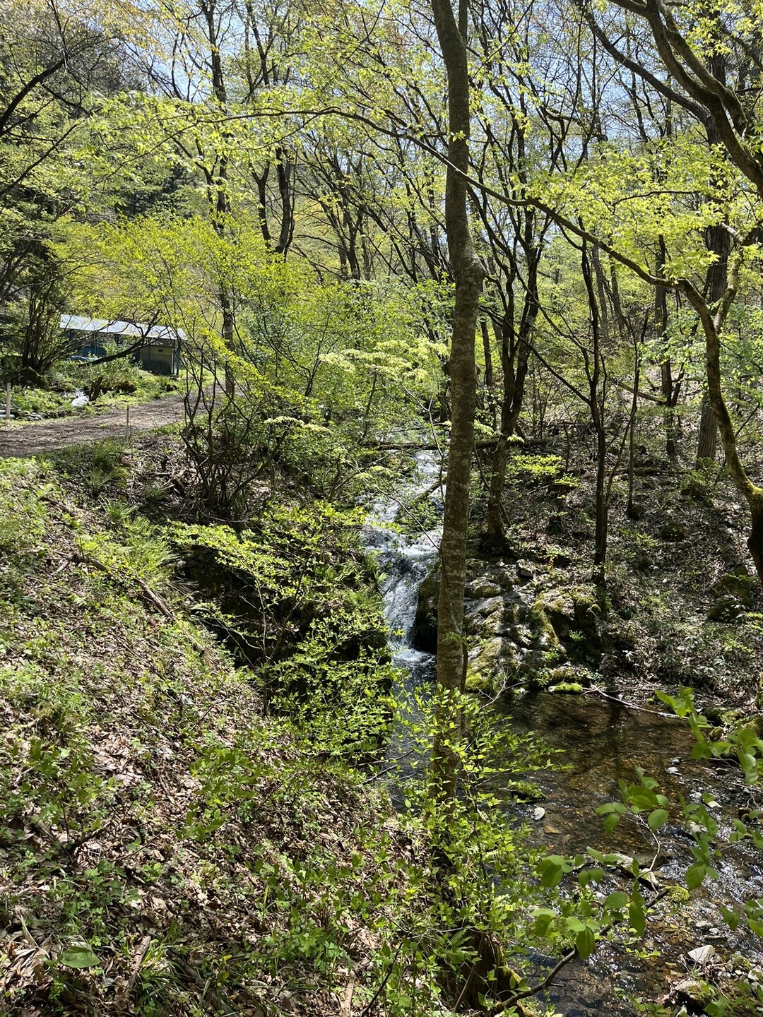 黒森山 / shu.f.oさんの黒森山・朝島山の活動データ | YAMAP / ヤマップ