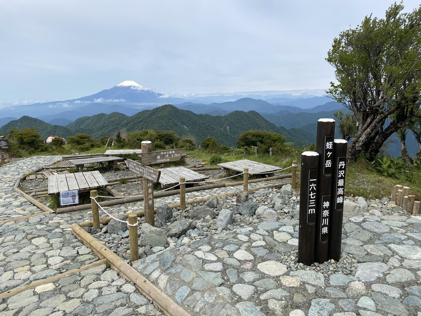 TTT 丹沢から高尾（Tanzawa to Takao） / youさんのウォーキングの活動データ | YAMAP / ヤマップ