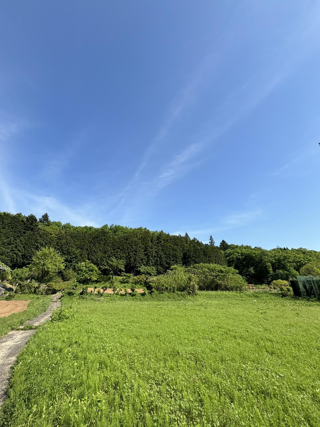 愛宕山・大内山 / sasaさんの官ノ倉山の活動データ | YAMAP / ヤマップ