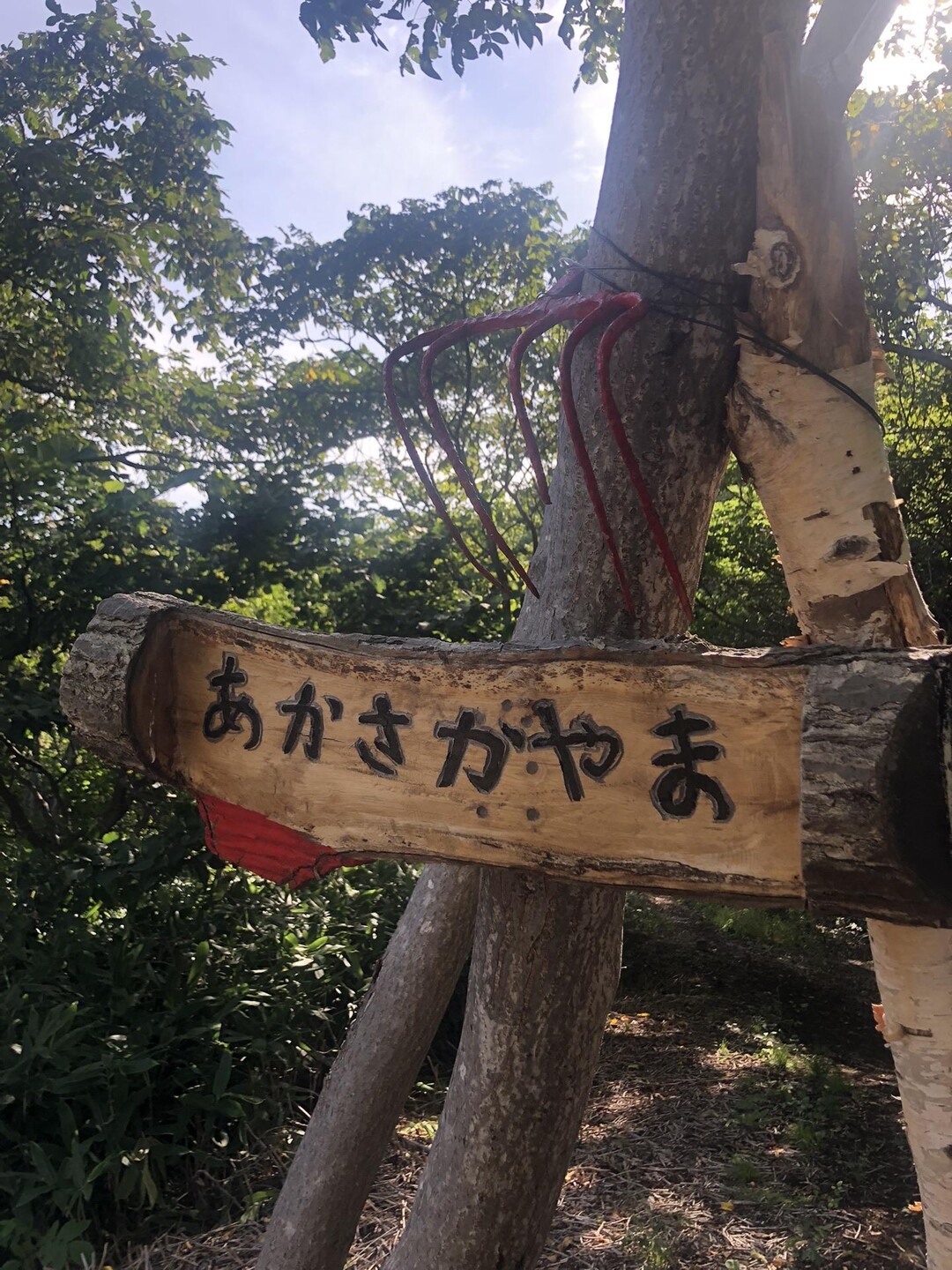 赤坂山 / yokkoさんの三角山・大倉山・円山の活動データ | YAMAP / ヤマップ