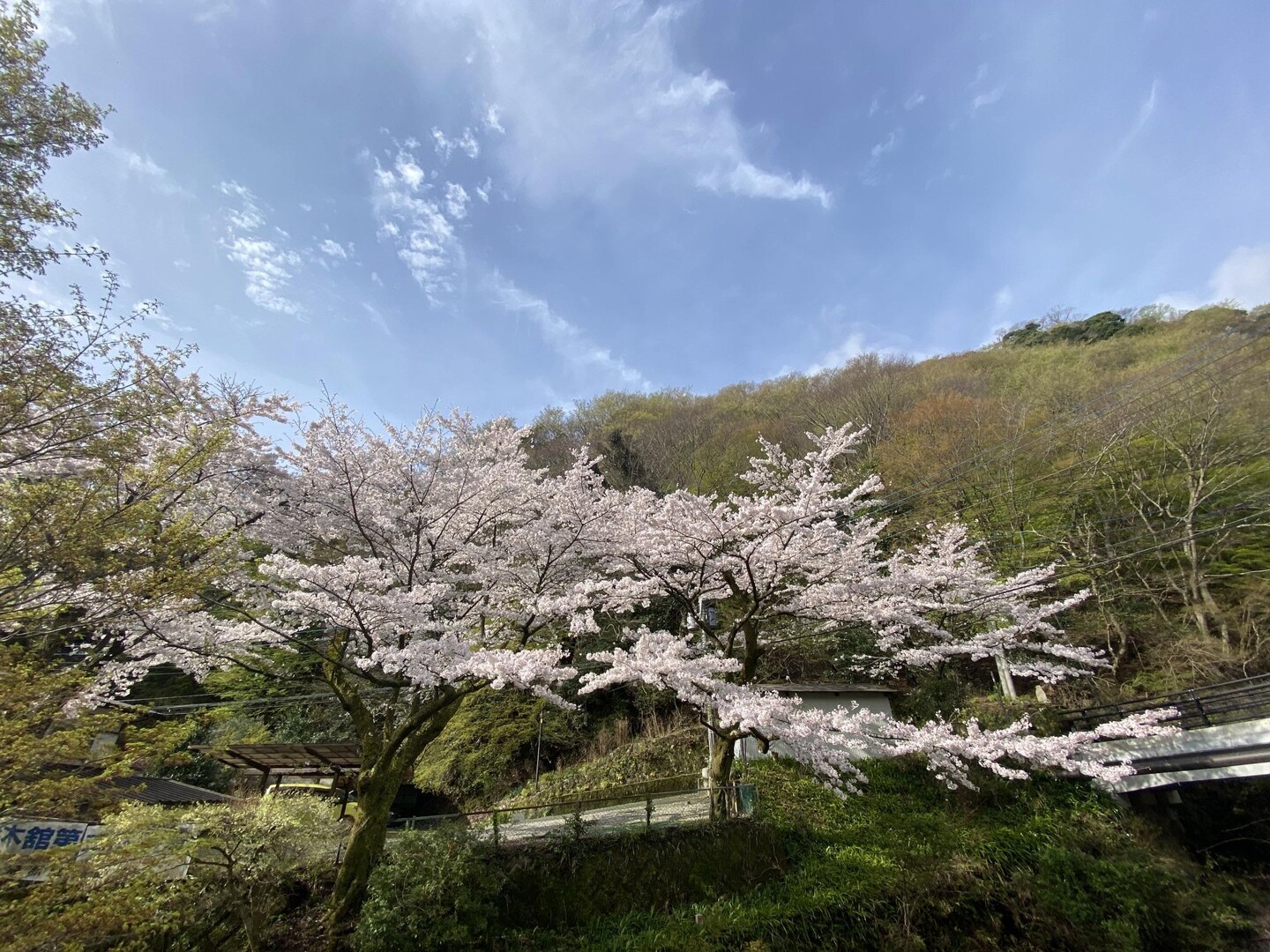 大山 / mahmoさんの大山の活動データ | YAMAP / ヤマップ