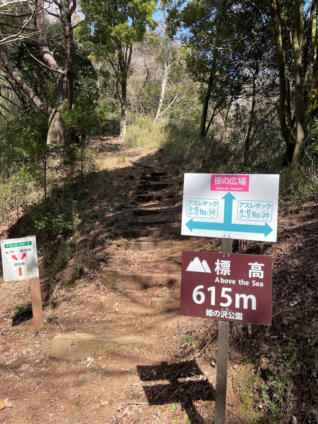 美由紀ちゃんさんの投稿したフィールドメモ | YAMAP / ヤマップ