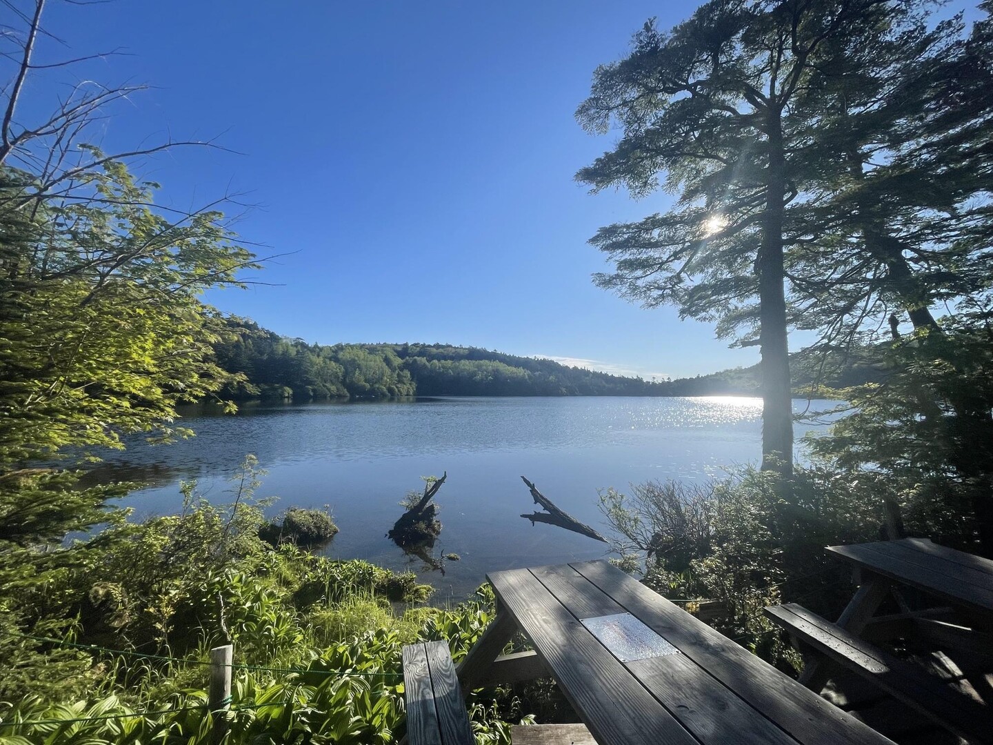 白駒池からにゅう、天狗岳へ / reiさんの八ヶ岳（赤岳・硫黄岳・天狗岳）の活動データ | YAMAP / ヤマップ
