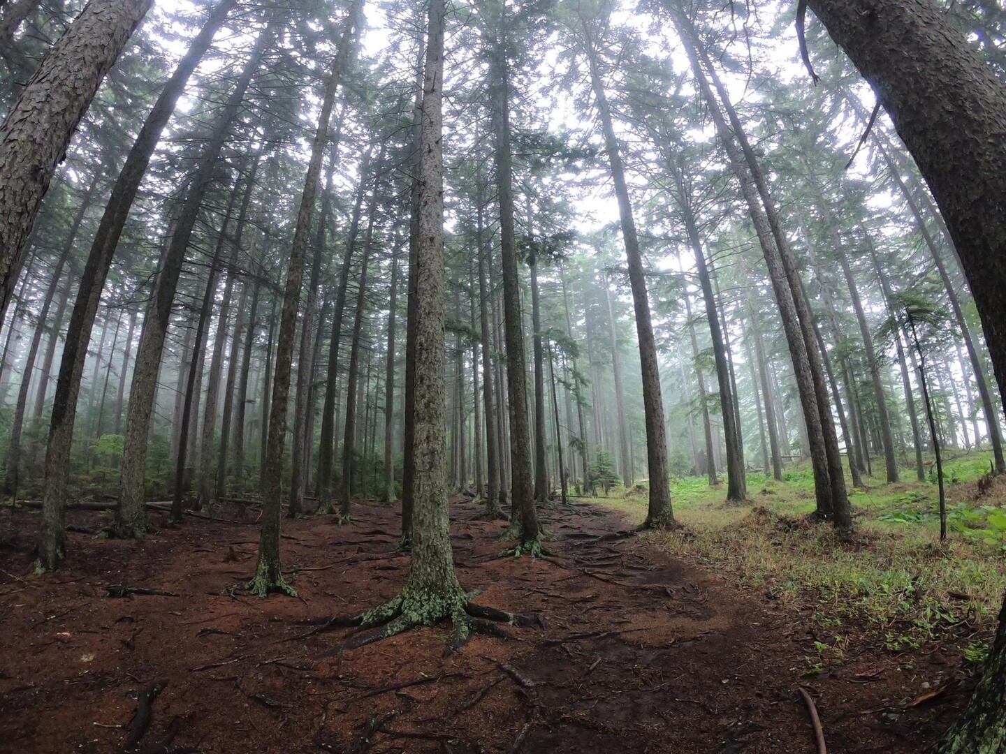 雌阿寒岳 / TAKU-F26さんの雌阿寒岳・阿寒富士・白湯山の活動データ | YAMAP / ヤマップ