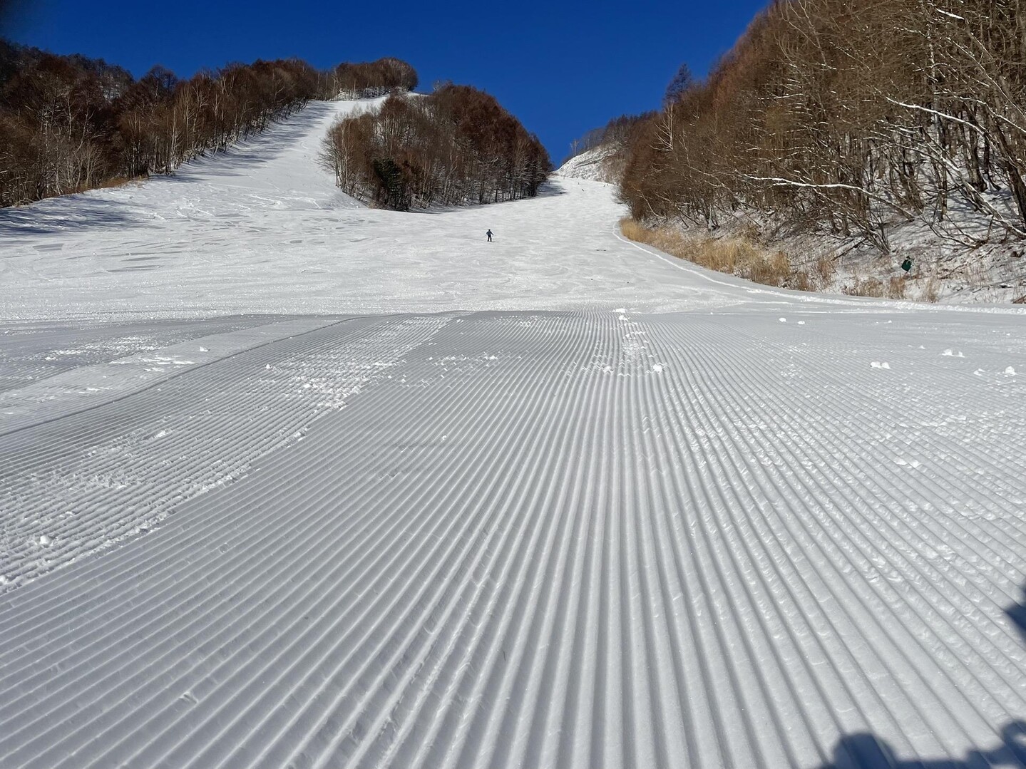 今週もSKI 尾瀬岩鞍へ ️ 前日は関東... / ヒロ oさんのモーメント | YAMAP / ヤマップ