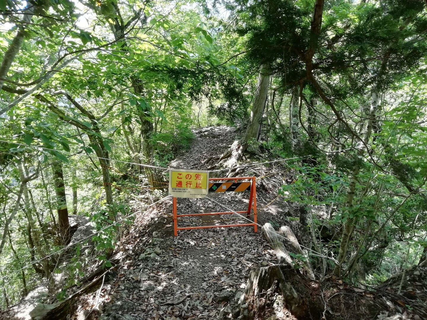 **J-Y** さんの投稿したフィールドメモ | YAMAP / ヤマップ