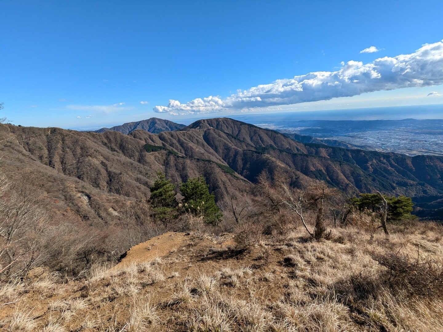 塔ノ岳↓源次郎尾根 / emi.sanさんの塔ノ岳・丹沢山・蛭ヶ岳の活動データ | YAMAP / ヤマップ