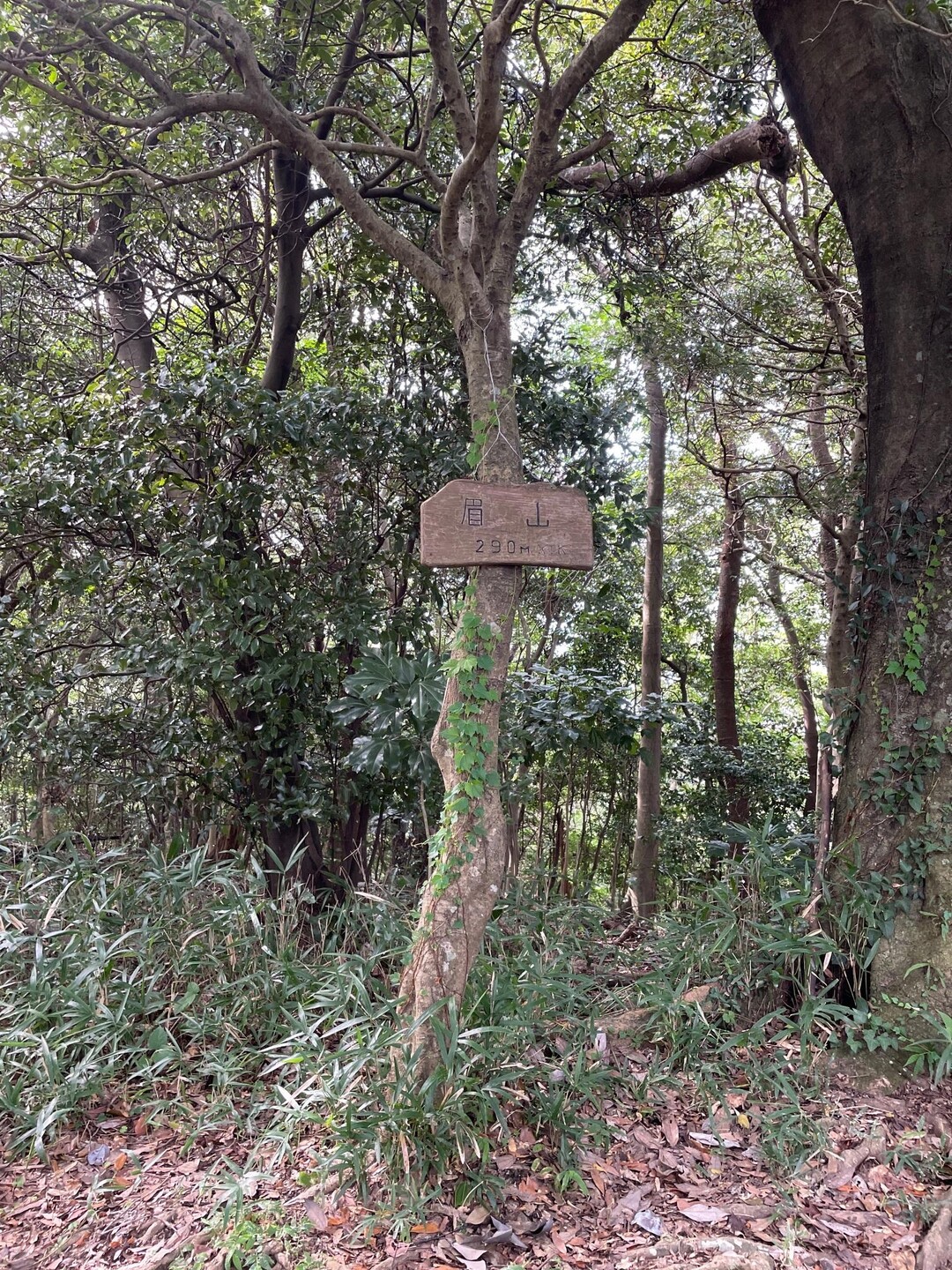 眉山（最高点） 地蔵院 / HEIGAN さんの眉山の活動データ | YAMAP / ヤマップ