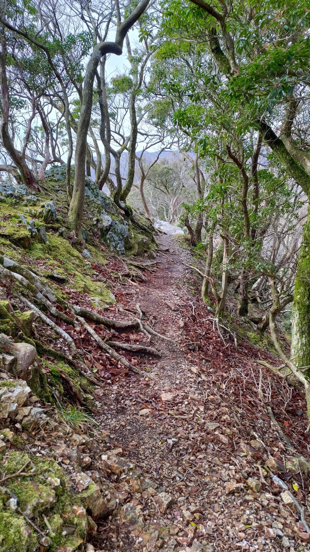 solaさんの投稿したフィールドメモ | YAMAP / ヤマップ