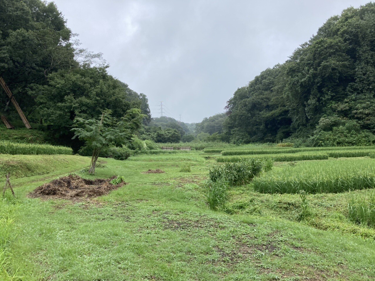多摩丘陵-2021-09-04 / Aokatiさんのウォーキングの活動データ | YAMAP / ヤマップ