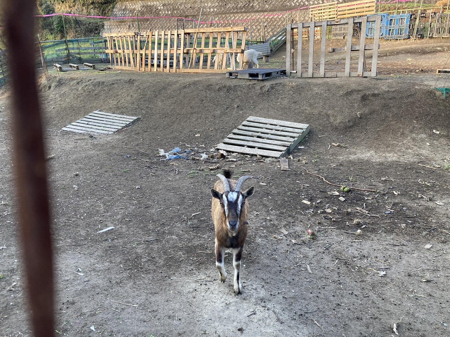 朝ウォーキング 静かな朝です。 / kozoさんのモーメント | YAMAP / ヤマップ