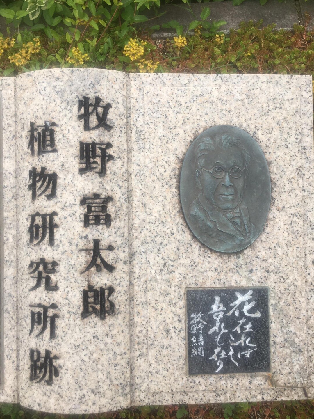 兵庫区の魅力 牧野富太郎と湊川隧道(みなとがわずいどう) / U T A H OS H Iさんの六甲山・長峰山・摩耶山の活動データ | YAMAP / ヤマップ