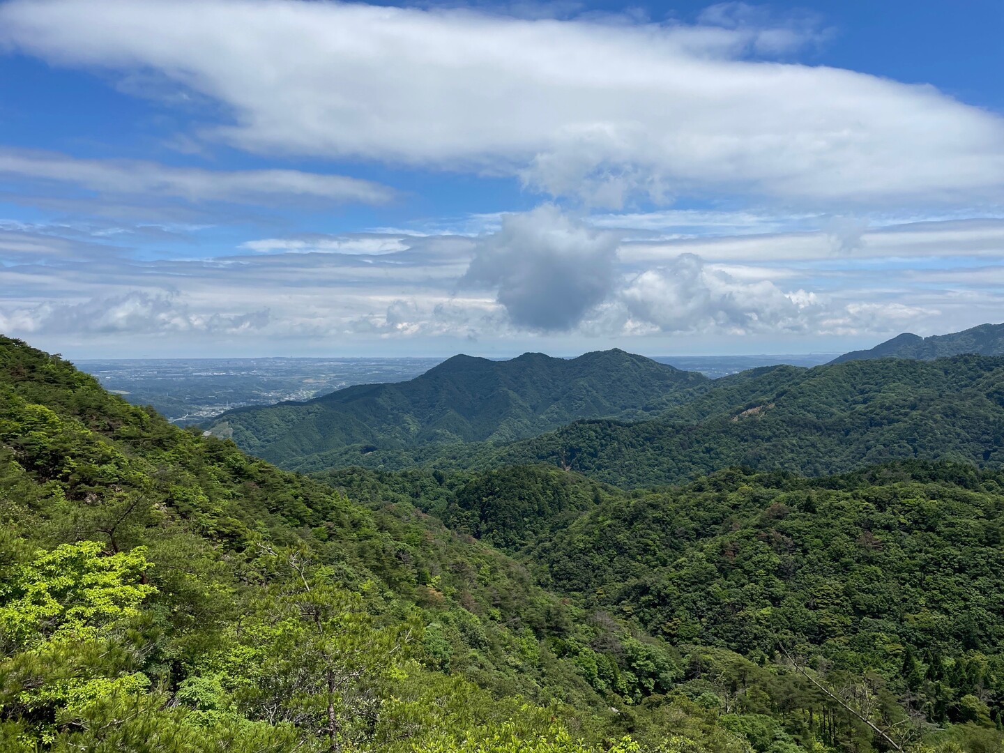 Marry🐾さんの投稿したフィールドメモ | YAMAP / ヤマップ