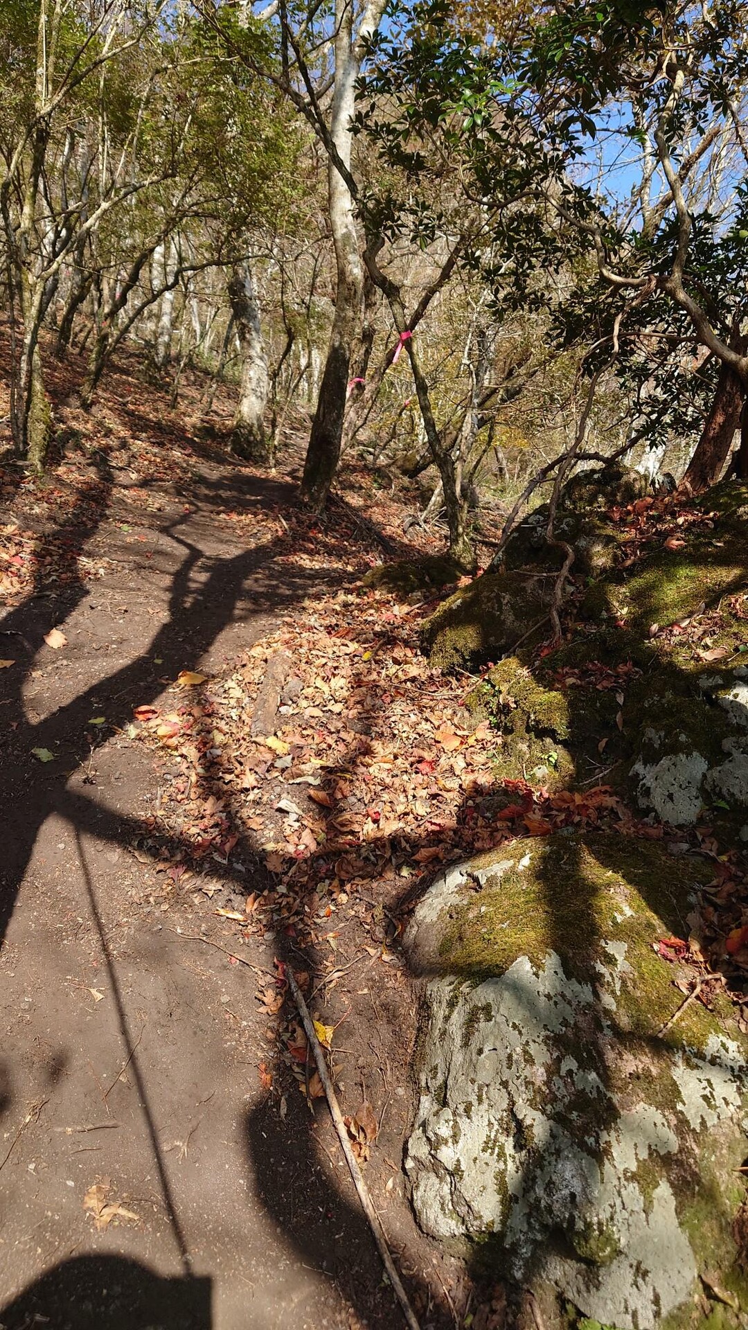 you_foo_dakeさんの投稿したフィールドメモ | YAMAP / ヤマップ