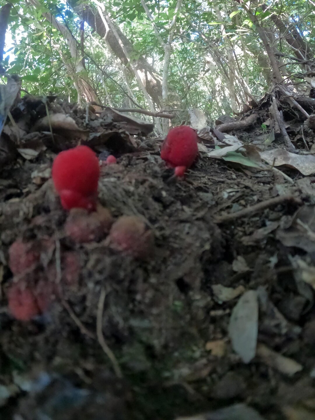 この名前教えて😊 / keikoさんのモーメント | YAMAP / ヤマップ