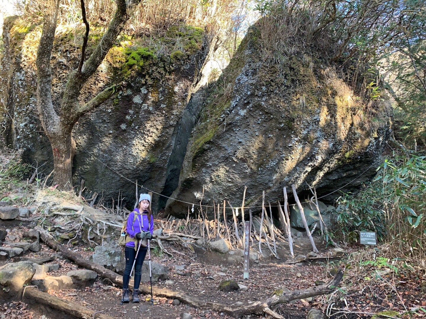 金時山・長尾山 / tenboさんの金時山・明神ヶ岳の活動データ | YAMAP / ヤマップ