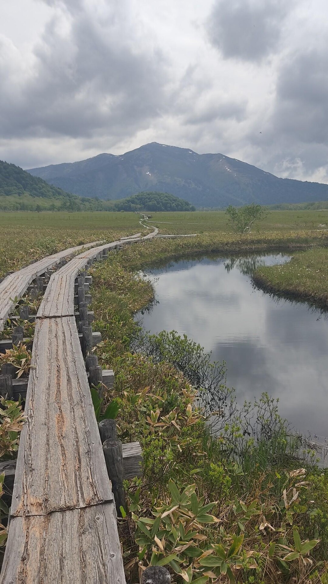 尾瀬1日目 御池駐車場〜燧裏〜至仏山荘 / azumanさんの尾瀬・燧ヶ岳の活動データ | YAMAP / ヤマップ