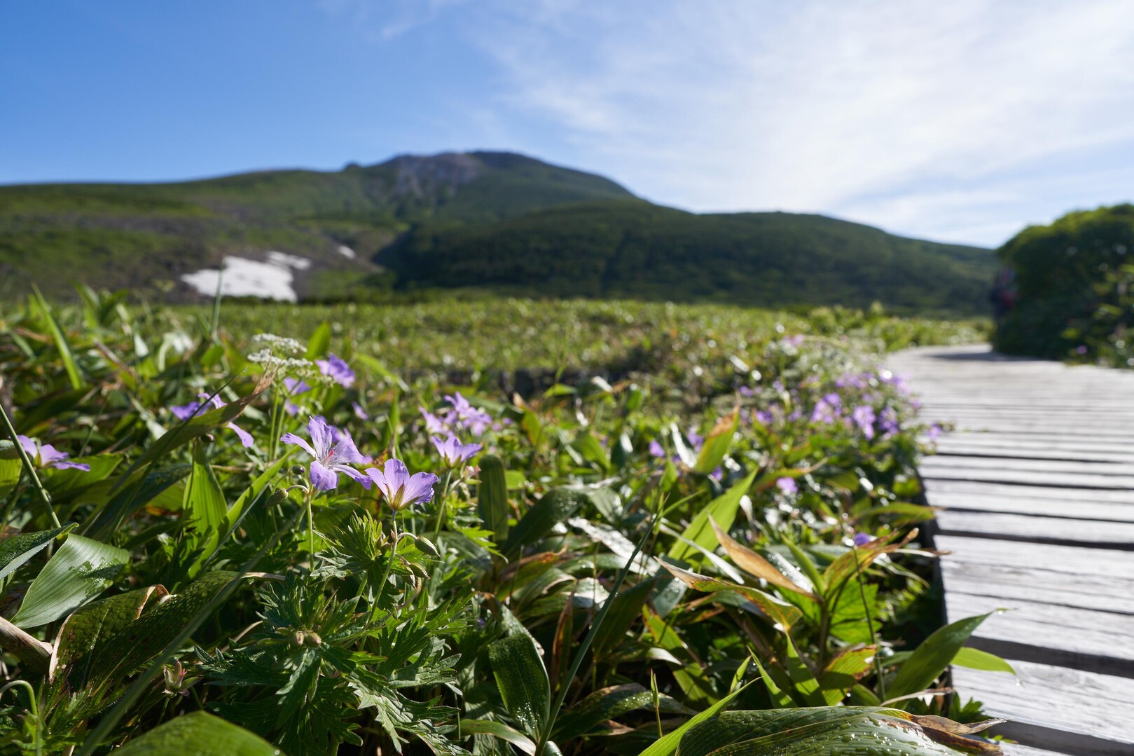白山（御前峰） / GS Planningさんの白山・別山・銚子ヶ峰の活動データ | YAMAP / ヤマップ