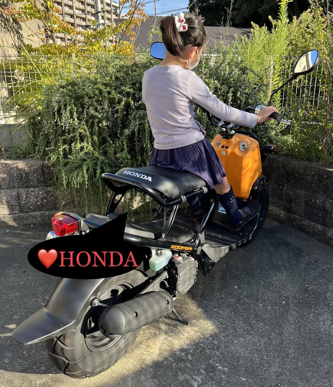 these days No,125 山... / Wis⁂さんのモーメント | YAMAP / ヤマップ