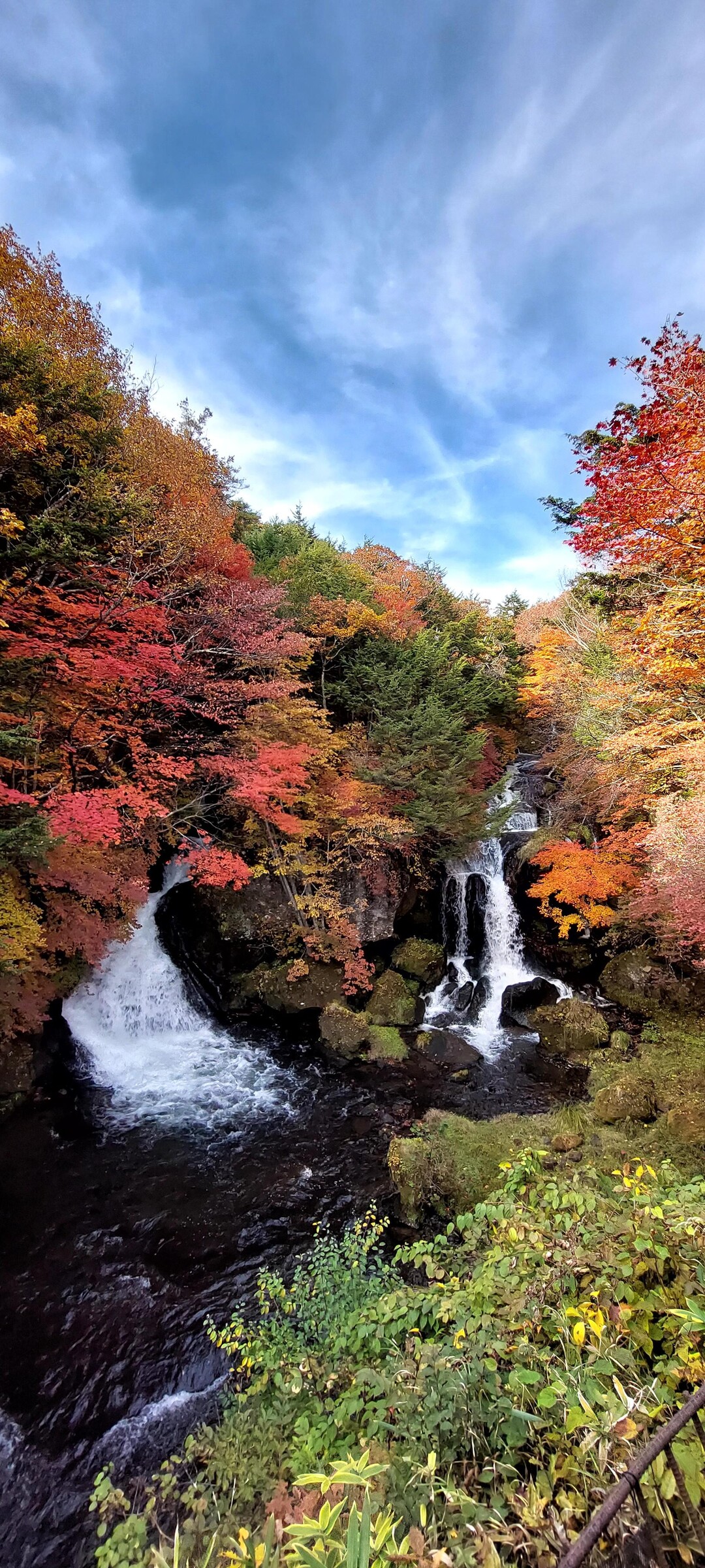 奥日光ハイキング-2023-10-19 / HALさんのウォーキングの活動データ | YAMAP / ヤマップ