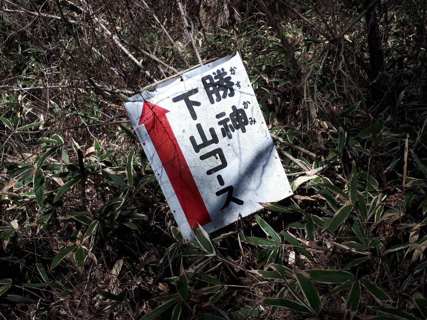 龍門山・最初ヶ峰、桜と桃源郷 / バランスライト(TET)さんの葛城修験エリアマップ（友ヶ島～和泉山脈周辺）の活動データ | YAMAP / ヤマップ