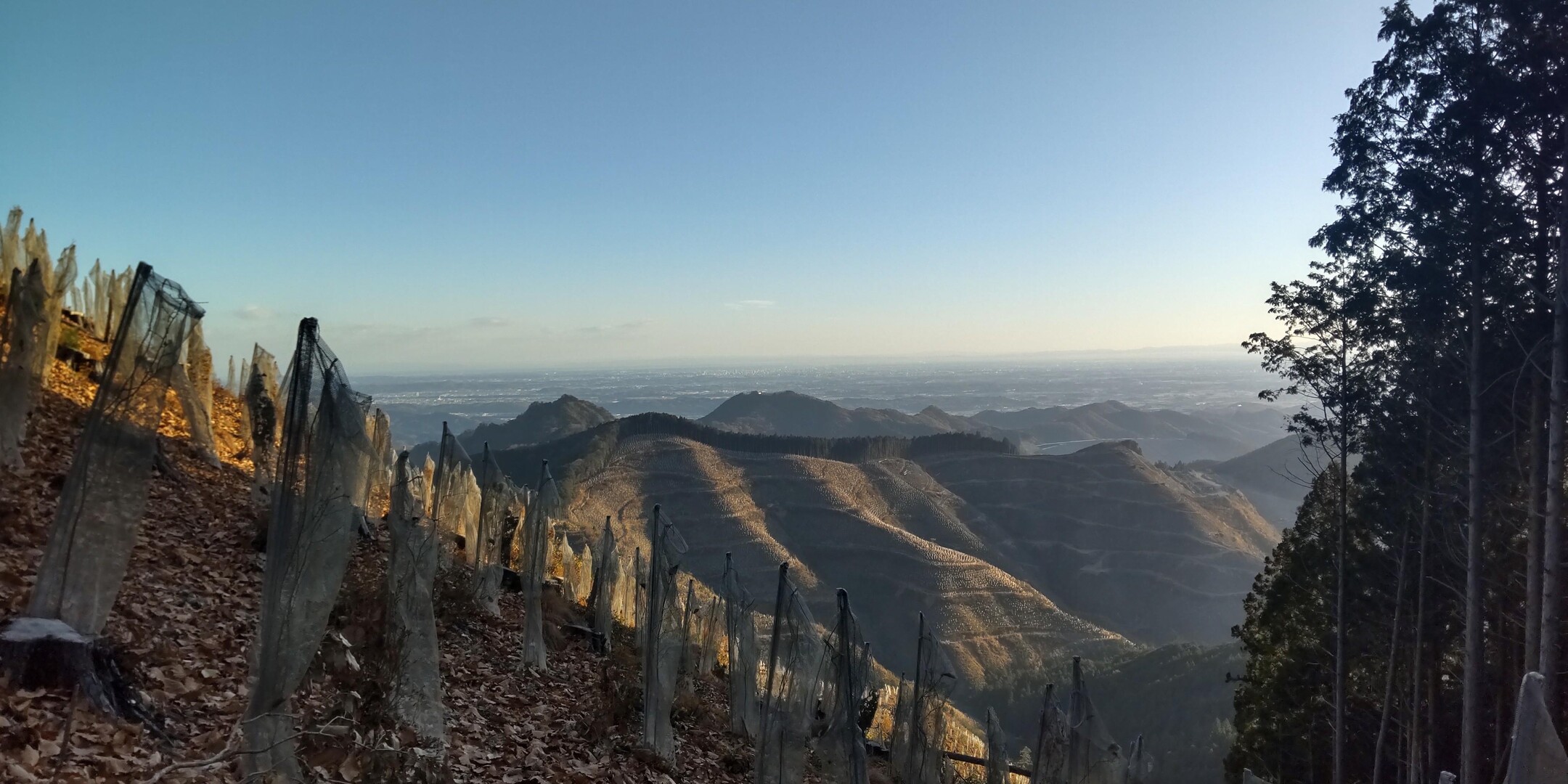 栃木百名山83谷倉山やぐらさん599m 84座目 / 山スキーsanさんの谷倉山の活動データ | YAMAP / ヤマップ