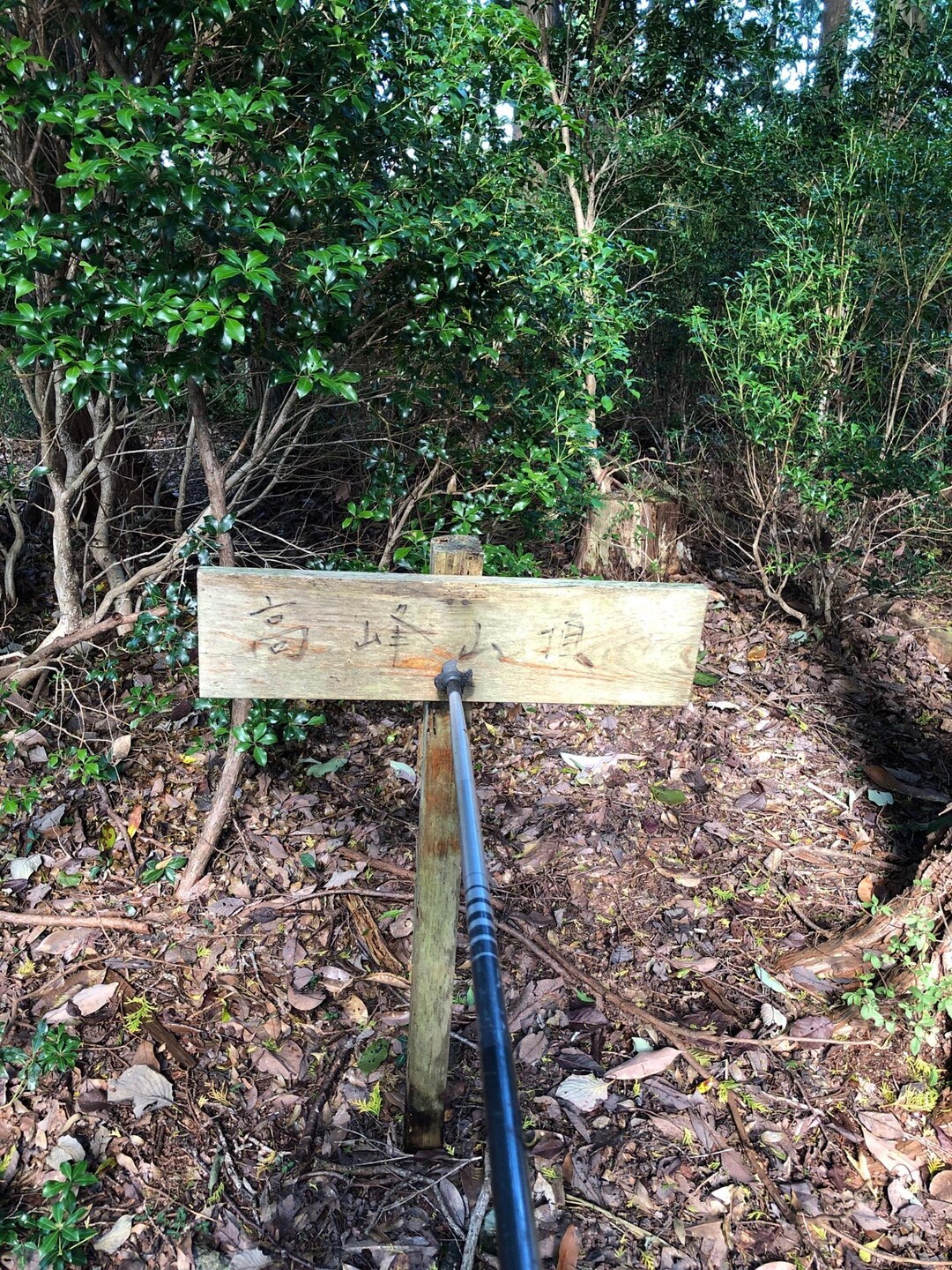 高峰 / Zak-Sanさんの高束山の活動データ | YAMAP / ヤマップ