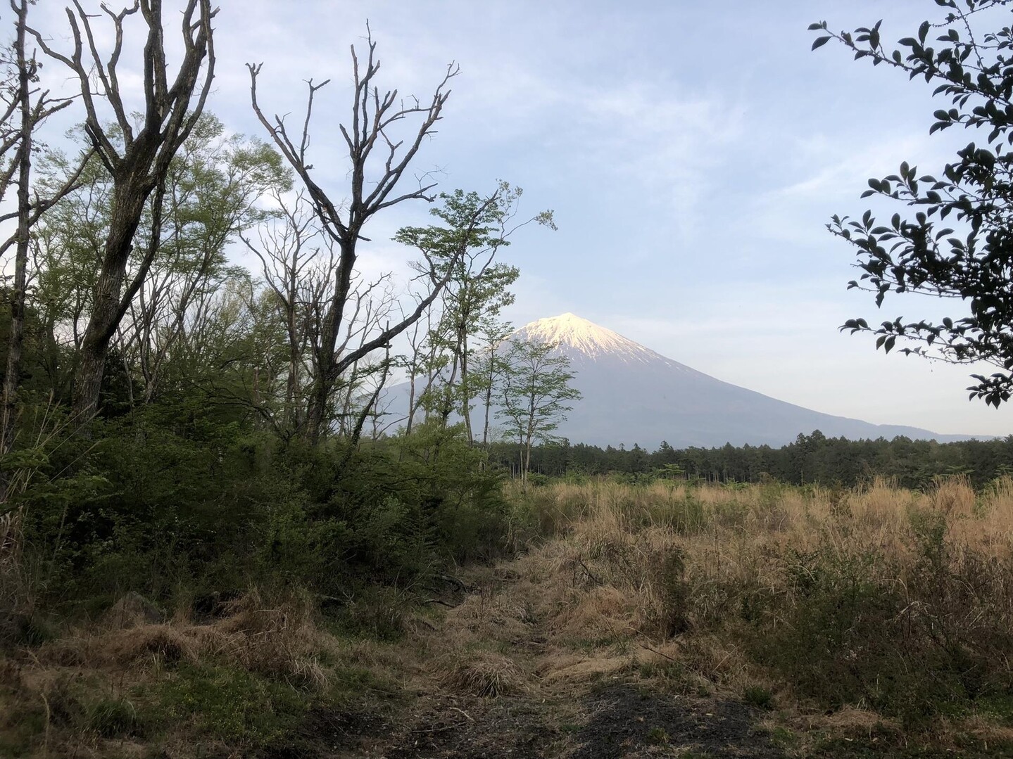 ULTRA TRAIL Mt.FUJI 2023 / TikoさんのFUJISAN LONG TRAIL（天子山地エリア WEST）の活動データ | YAMAP / ヤマップ