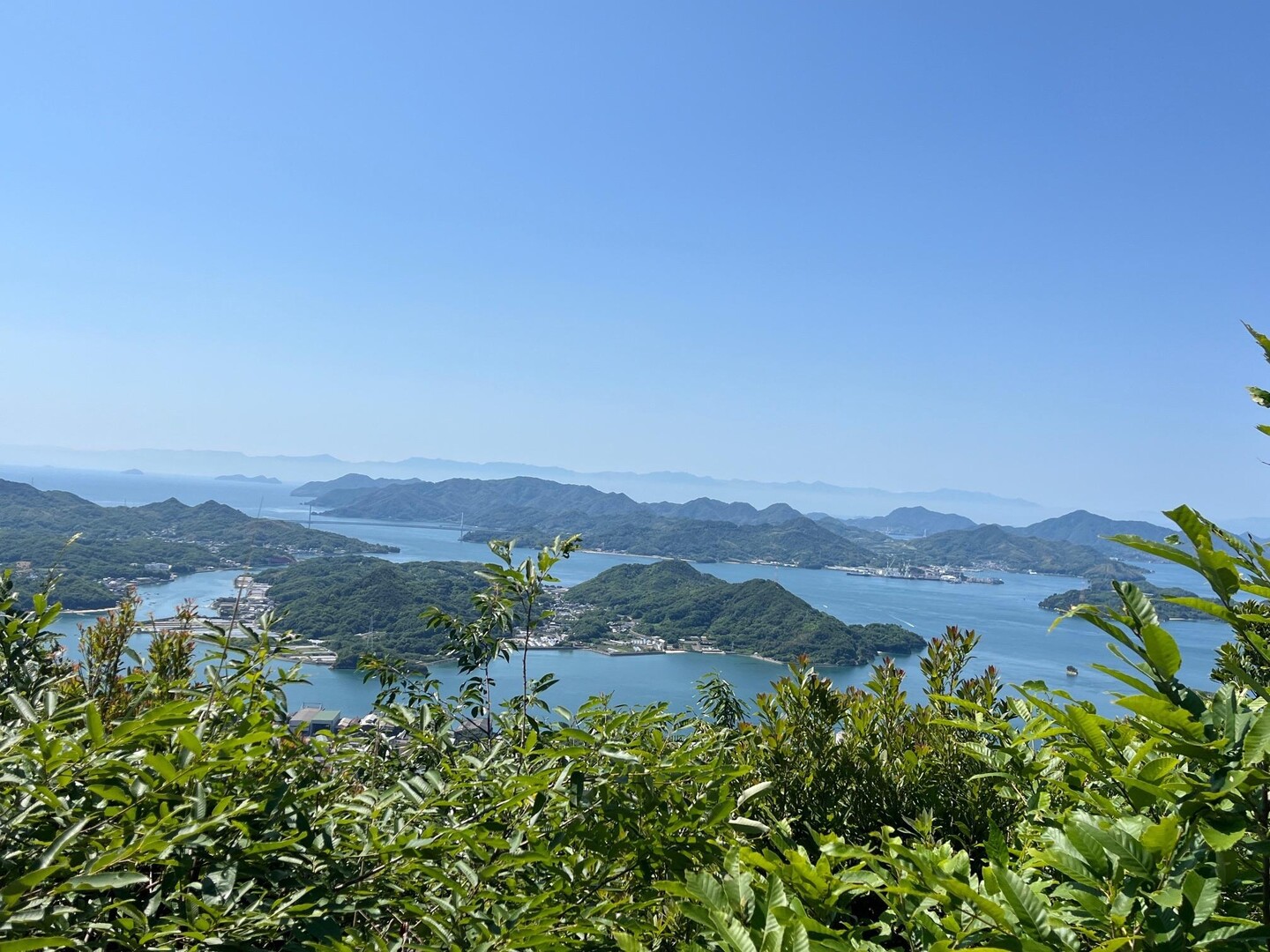 鳴滝山・鳴滝城山・桜山 / mirereさんのみはらし連山・鳴滝山・鉢ヶ峰の活動日記 | YAMAP / ヤマップ
