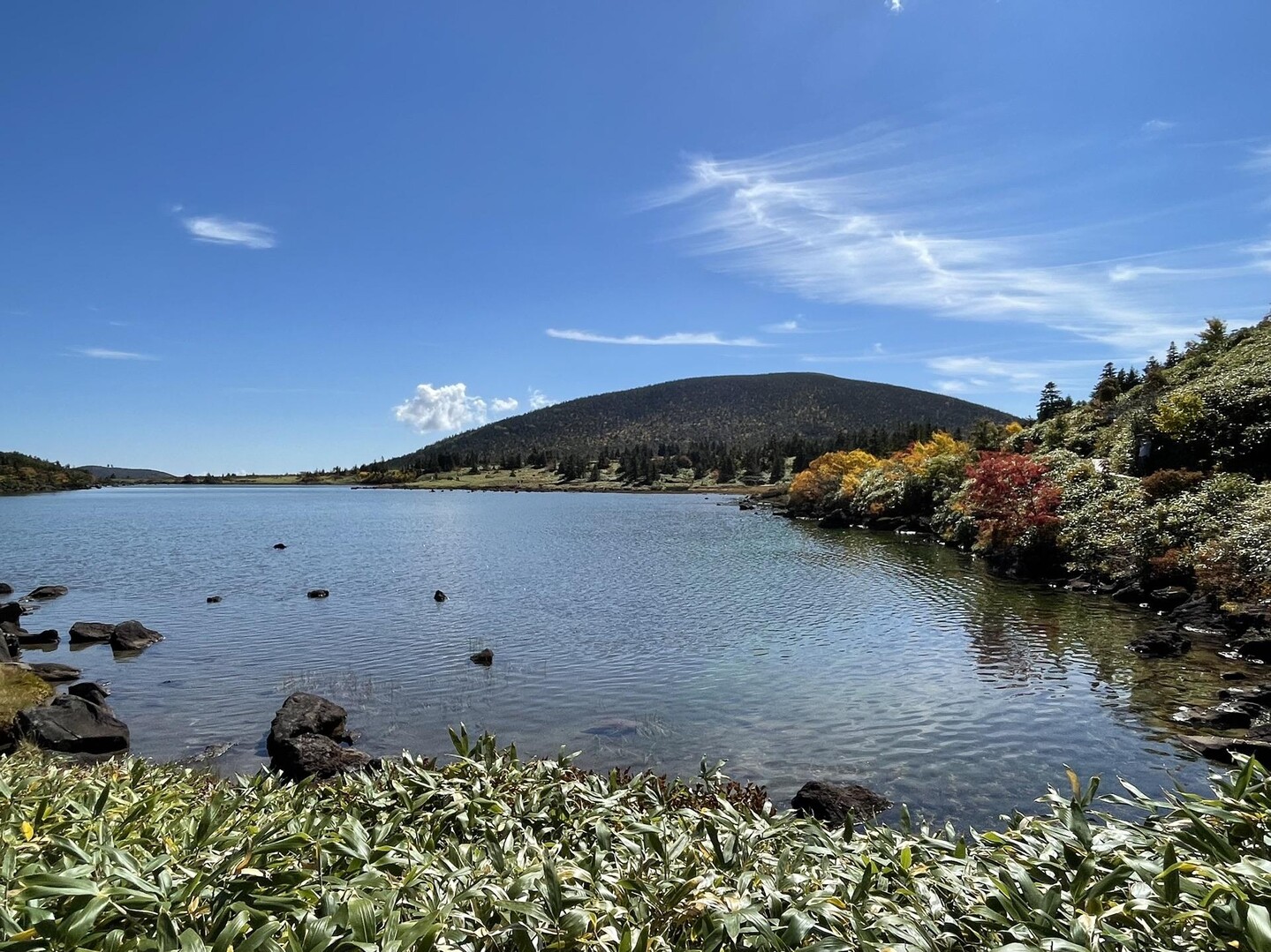 2022.10.25(火) 02:30 / ケロケロ🐸🐸🐸さんのモーメント | YAMAP / ヤマップ