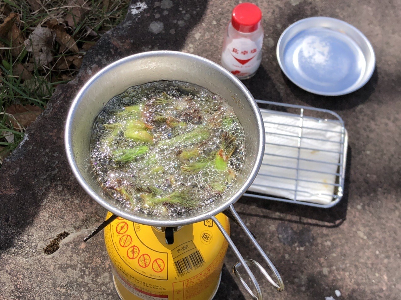 やっとこの季節が来ました。五月晴れの空の... / shine🏔さんのモーメント | YAMAP / ヤマップ