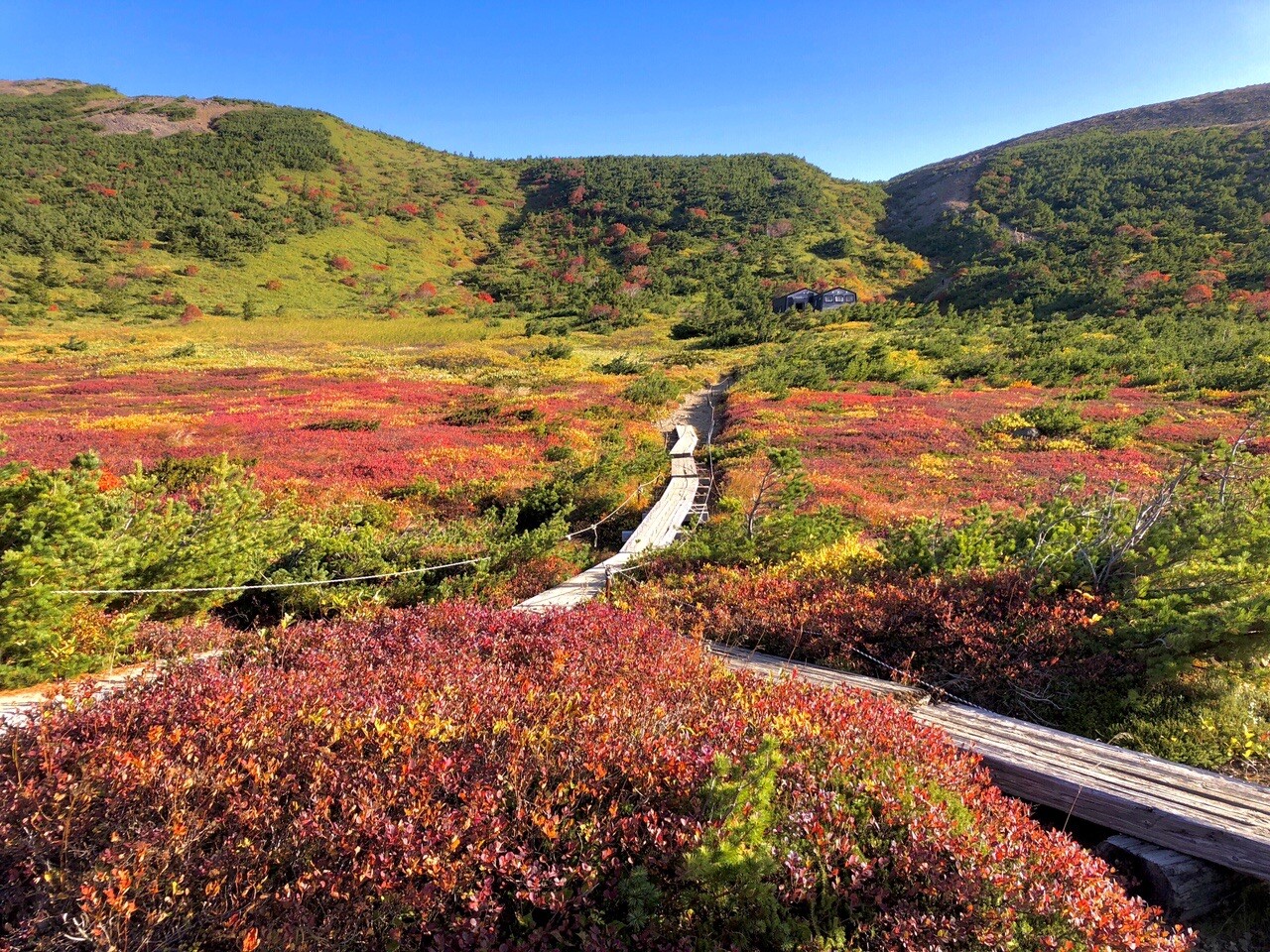 福島絶景トレイルCP③紅葉美しい一切経山・吾妻小富士 / mochaさんの吾妻山・一切経山の活動データ | YAMAP / ヤマップ