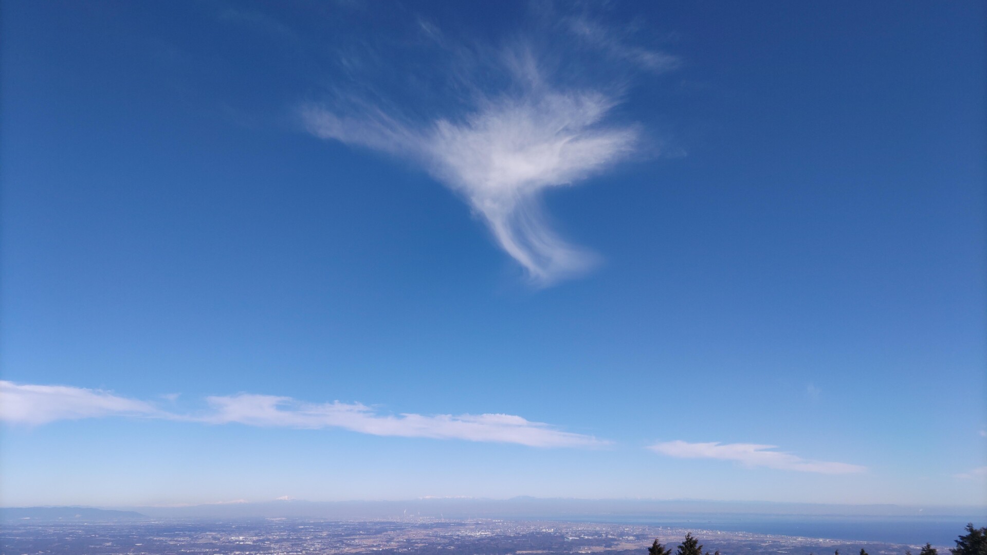 南アから神島まで抜群の眺望を楽しめました！ 経ヶ峰 / newayさんの経ヶ峰の活動データ | YAMAP / ヤマップ